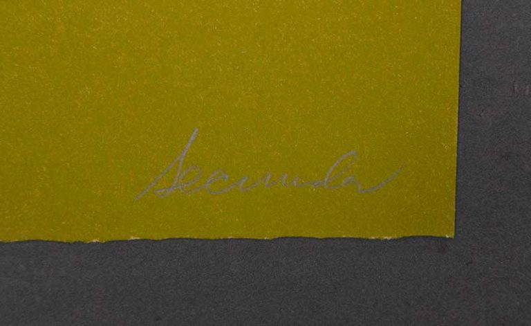 Arthur Secunda Art Print | Marshlands From Above Lithograph